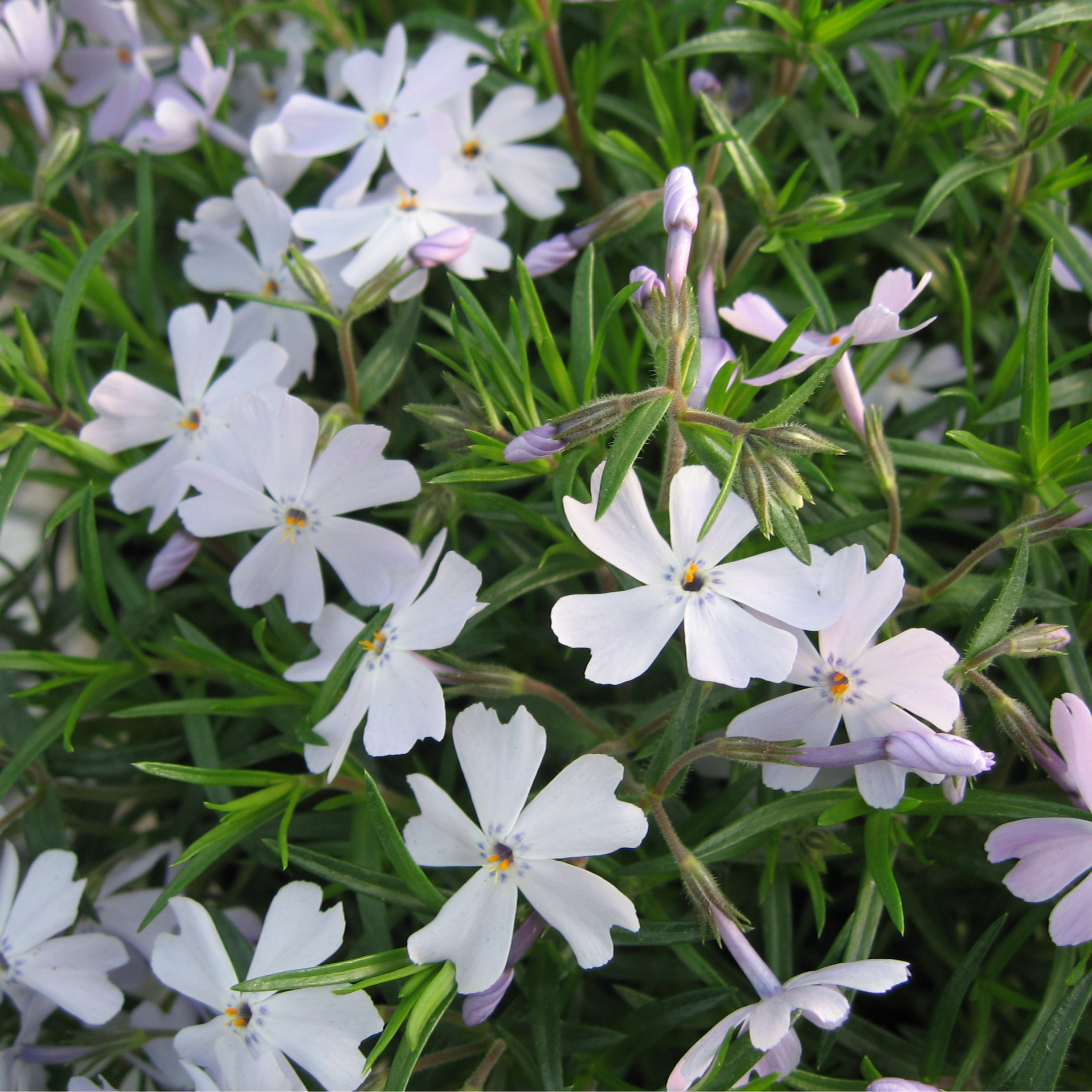 Daily Specials & Clearance Items | Daily Special Categories