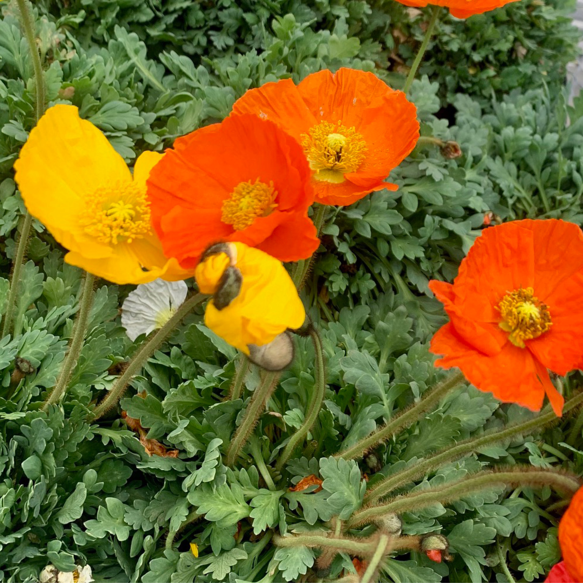 Daily Specials & Clearance Items | Daily Special Categories