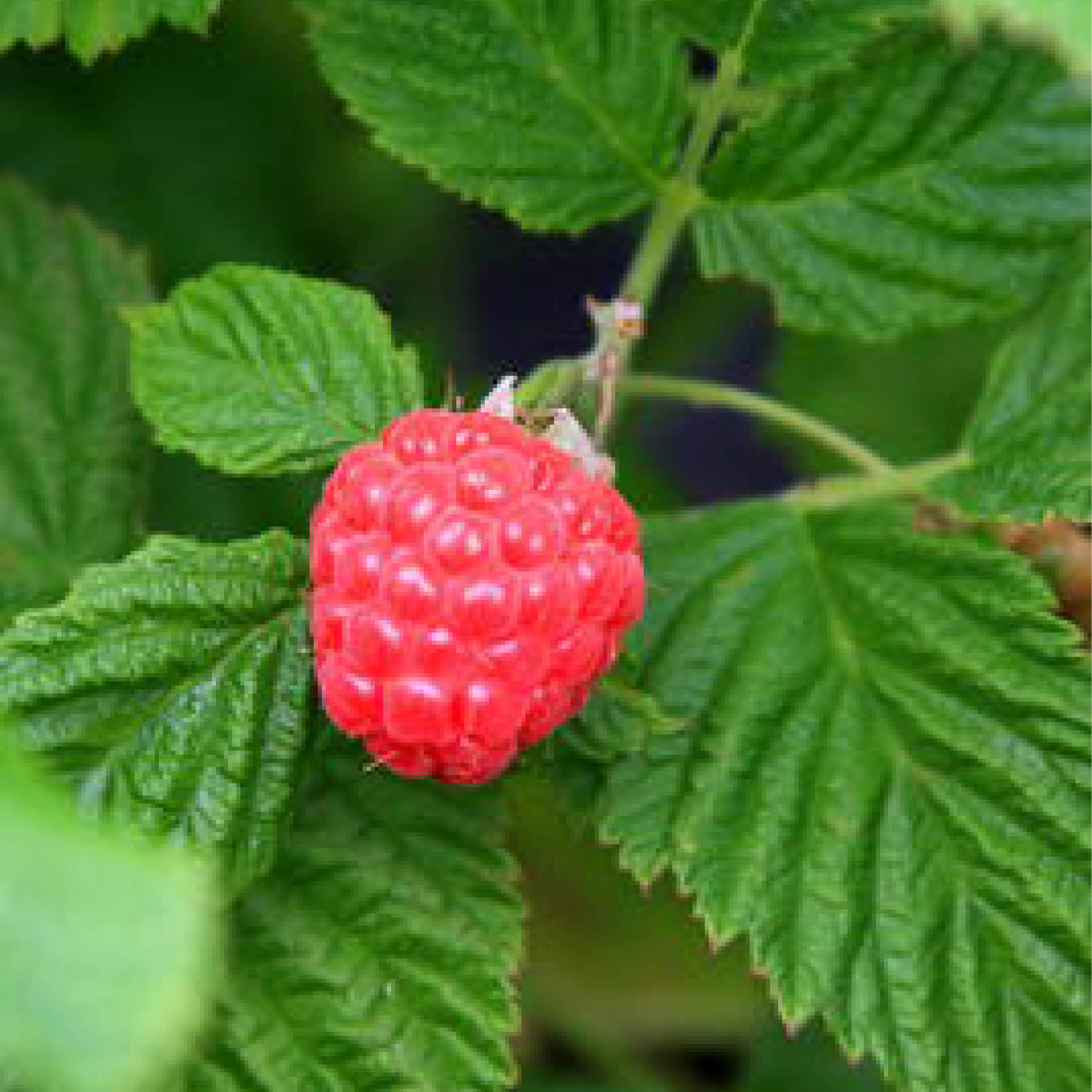 Daily Specials & Clearance Items | Daily Special Categories