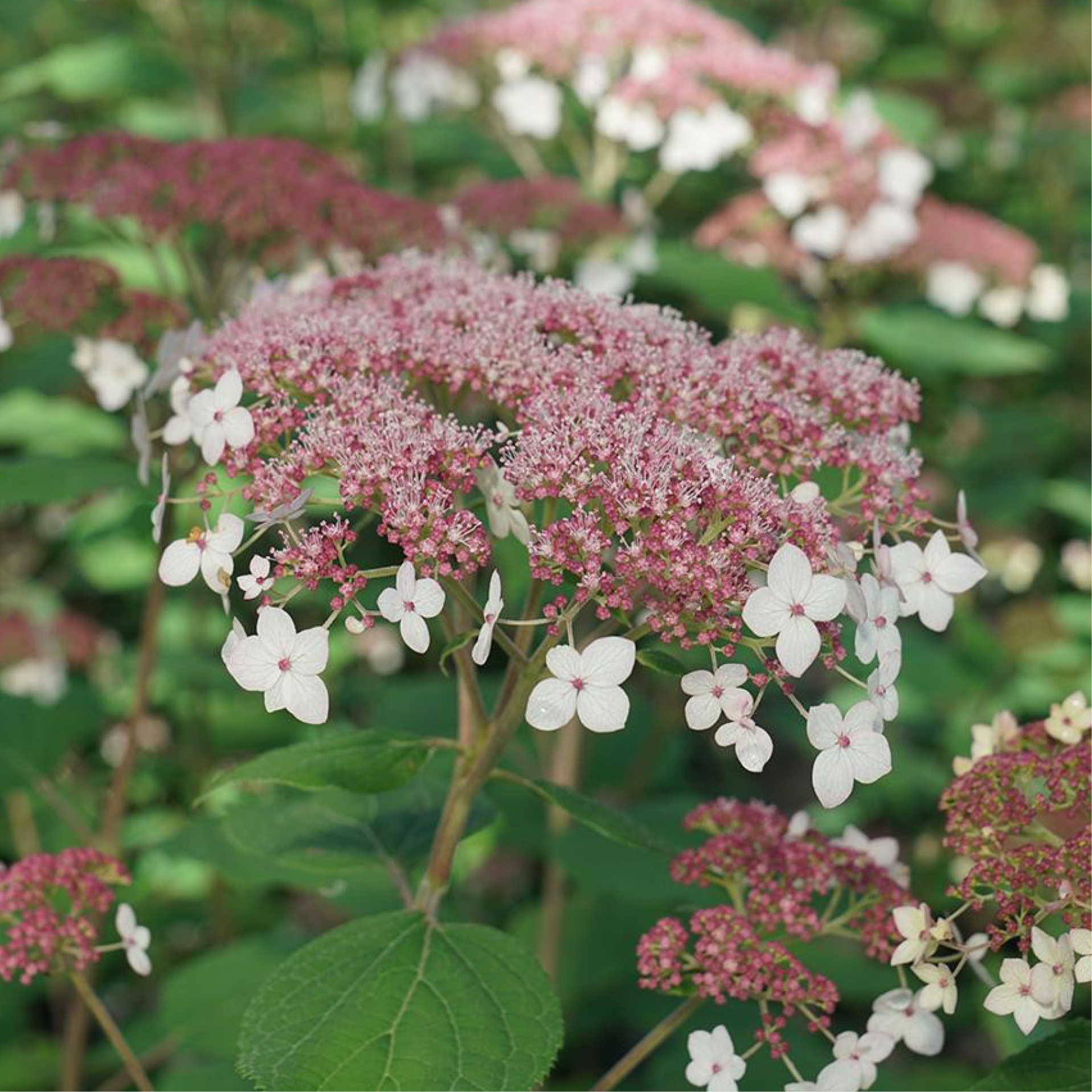 Daily Specials & Clearance Items | Daily Special Categories