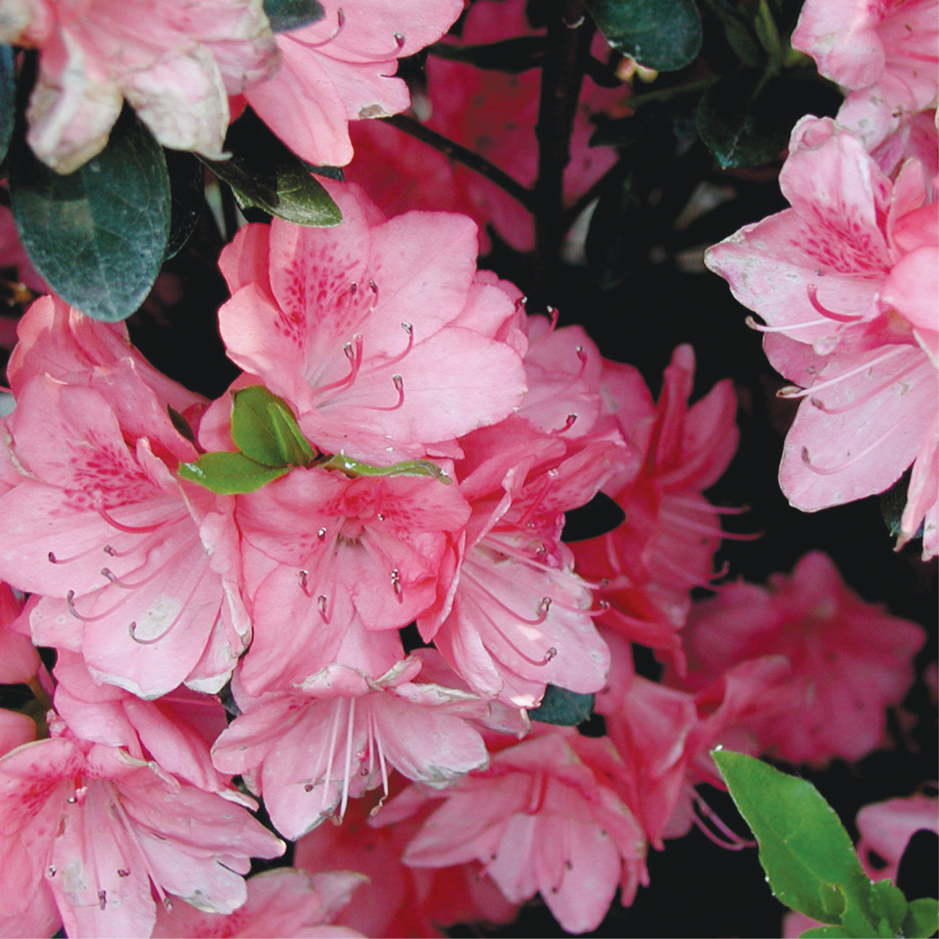 Daily Specials & Clearance Items | Daily Special Categories