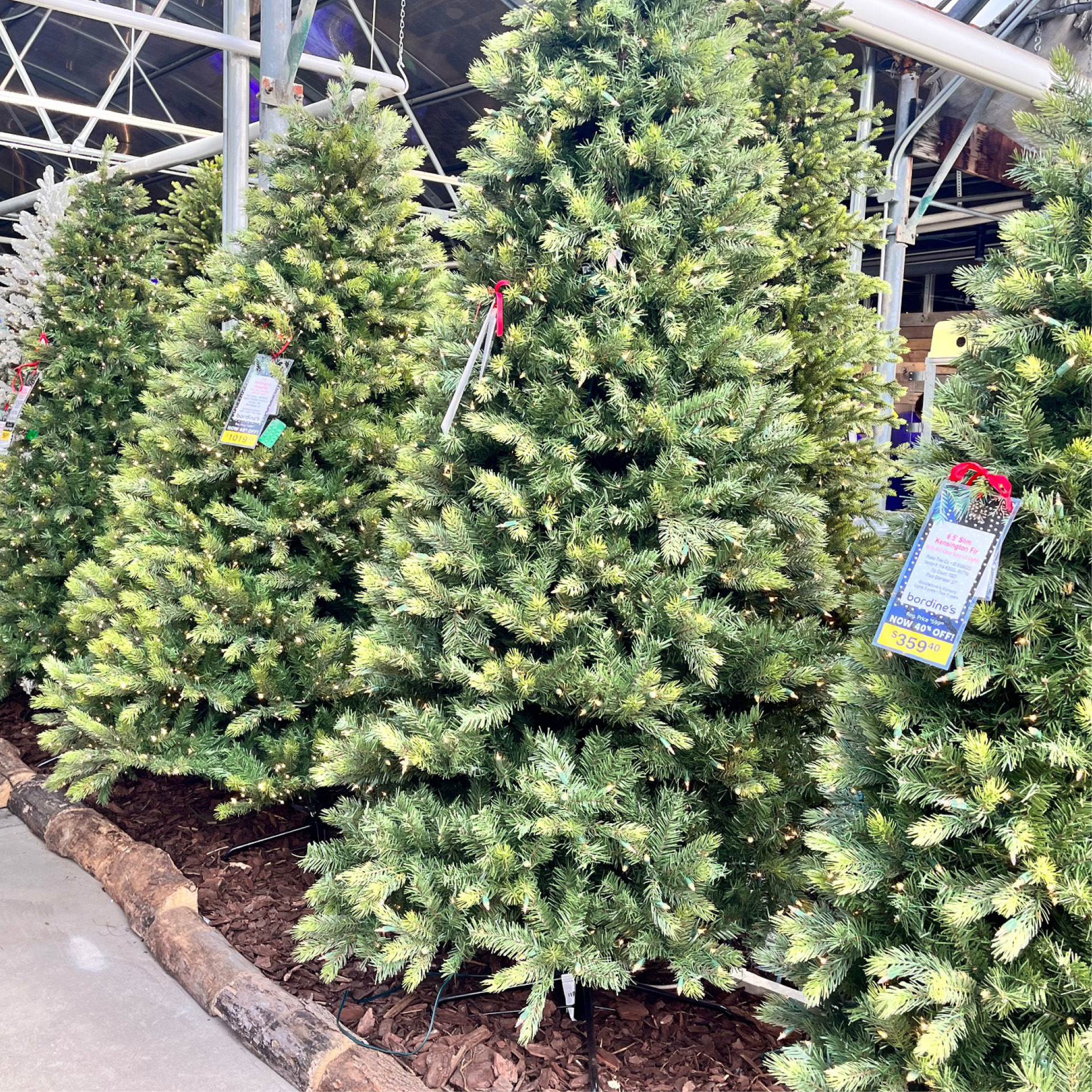 Daily Specials & Clearance Items | Daily Special Categories