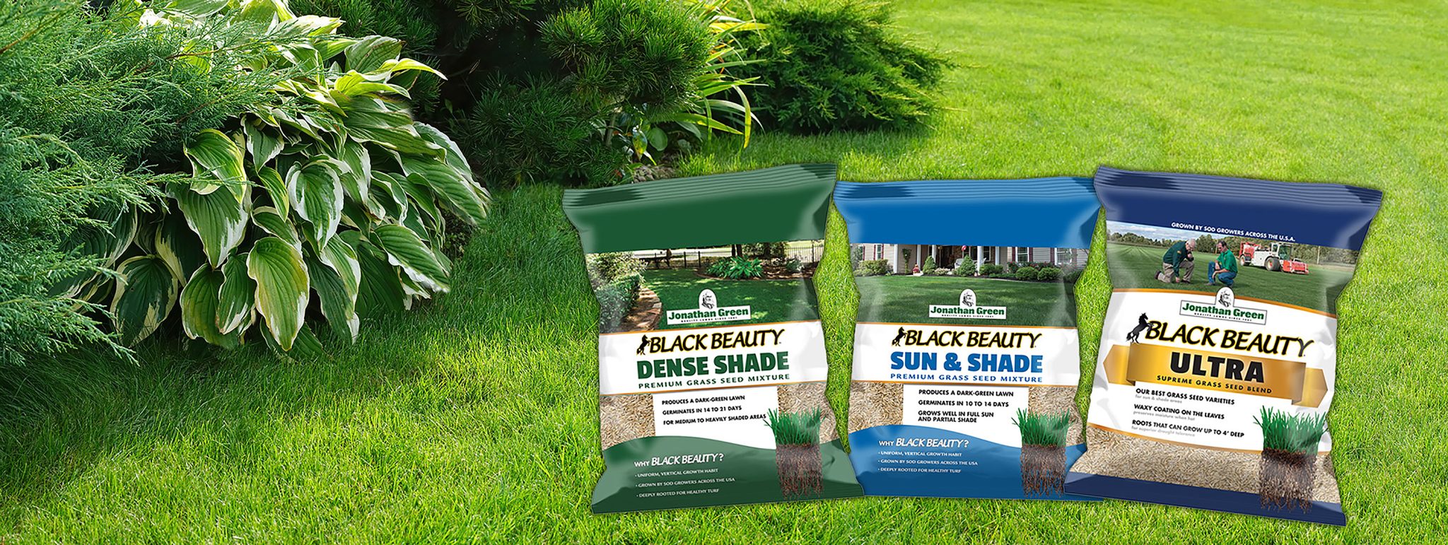 Get the Perfect Lawn with Jonathan Green Grass Seed